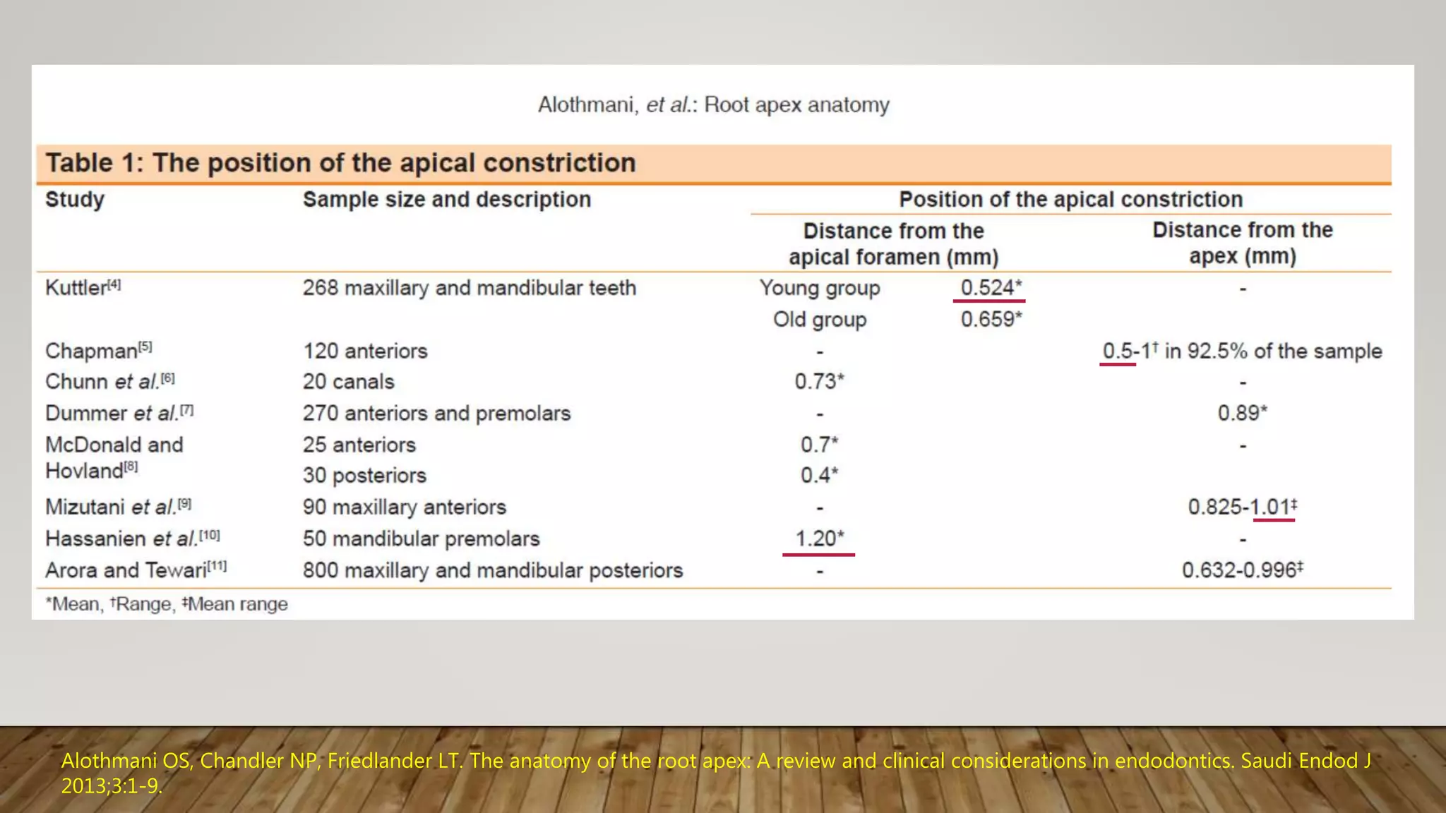 Structure Of Root Apex Pptx