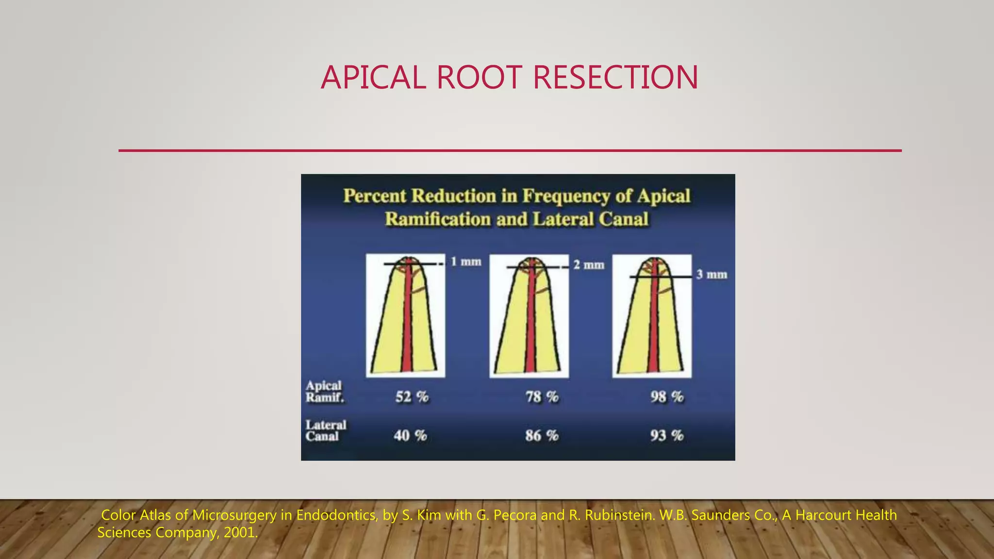 structure of root apex | PPTX