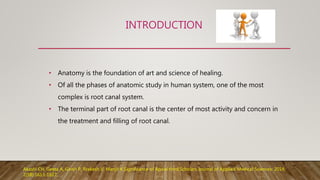 structure of root apex | PPTX