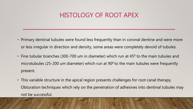 structure of root apex | PPTX | Dental Health | Diseases and Conditions
