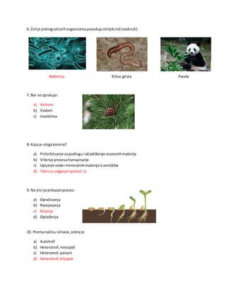 5. razred, resenja | PDF