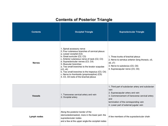 Posterior triangle of the neck | PPT