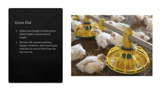 VAL-CO Broiler Pan Feeding | PPT