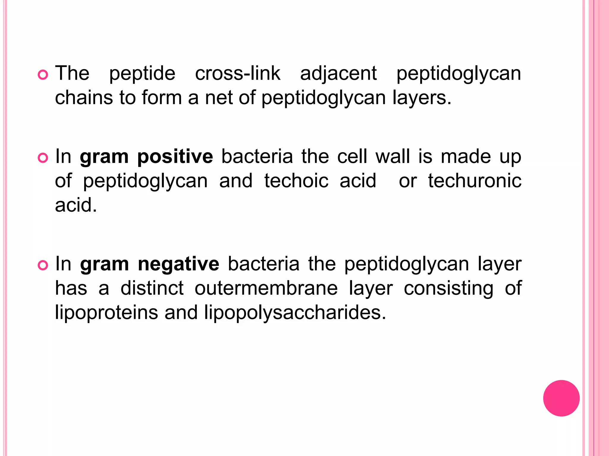 5 Cephalosporin Pptx