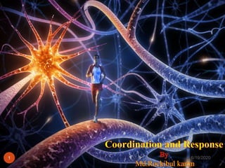 coordination and control | PPT