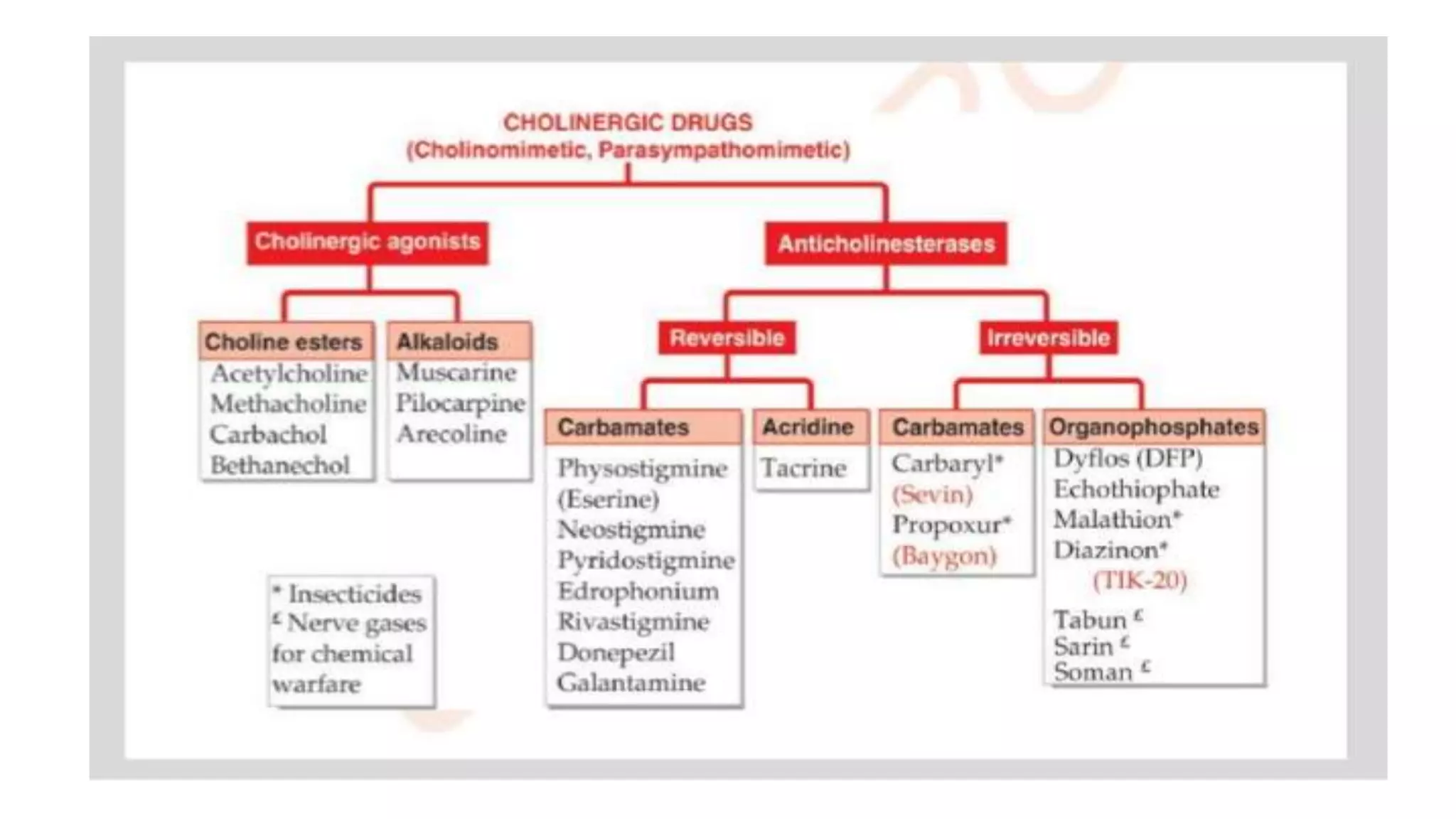 5. cholinergic drugs | PPT