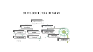 5. cholinergic drugs | PPTX