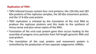 5. Tobacco mosaic virus | PPTX