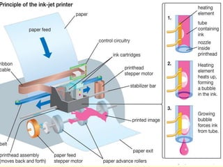 impact and non impact printers | PPTX
