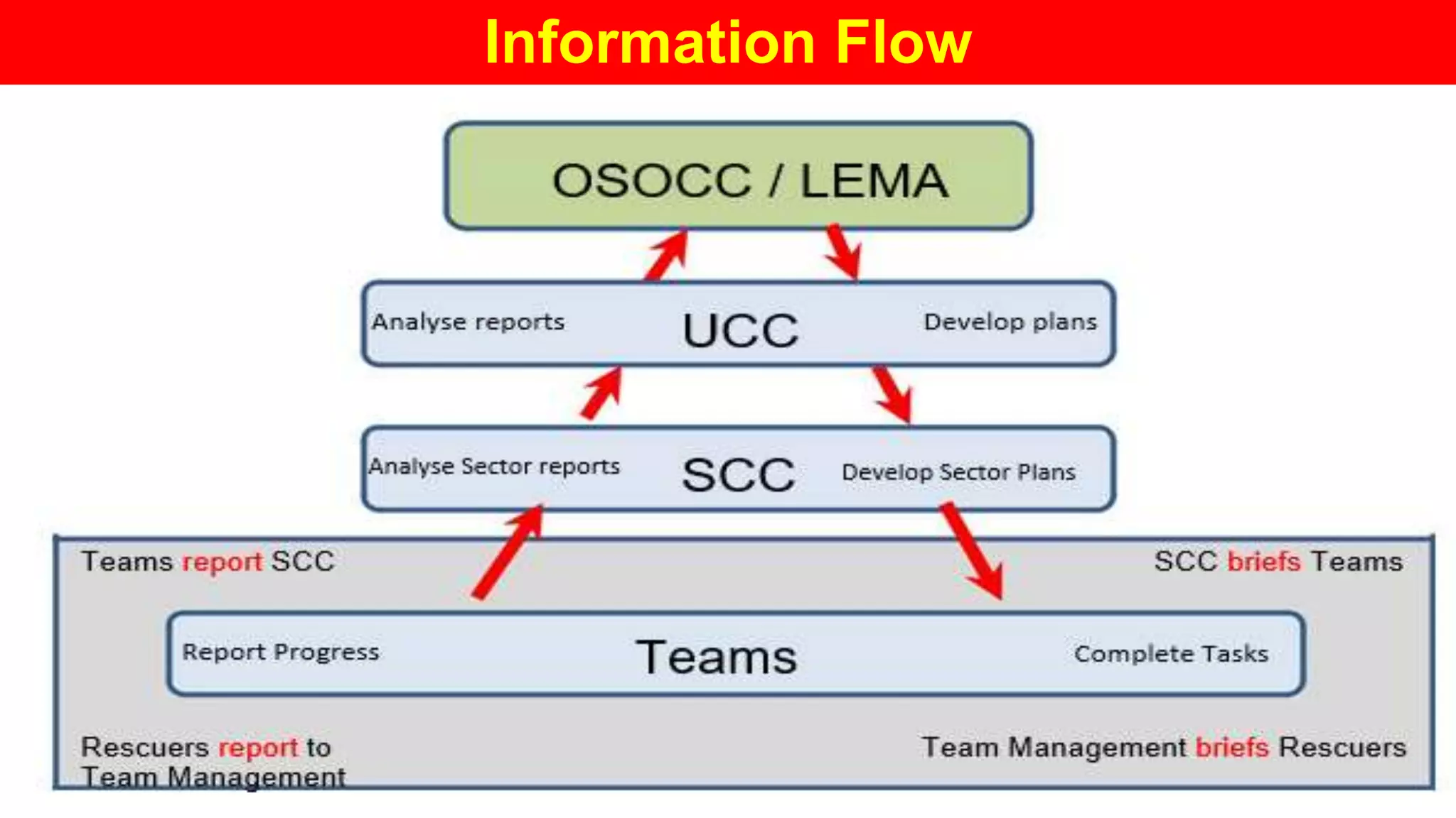 USAR COORDINATION CELL | PPTX