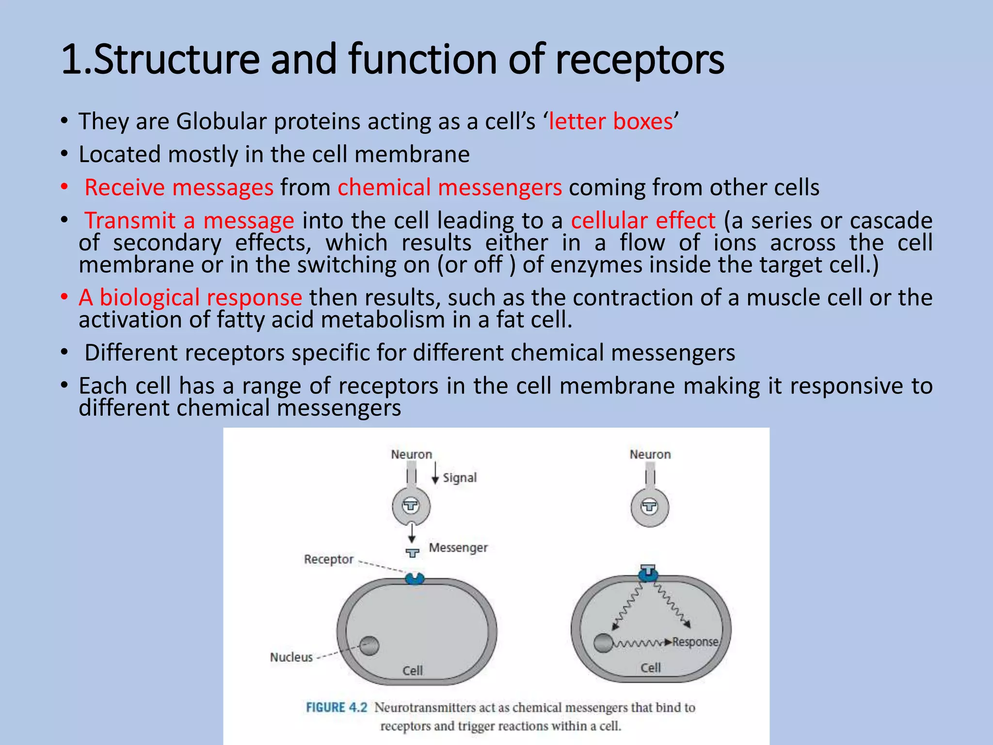 Receptor as drug targets | PPTX