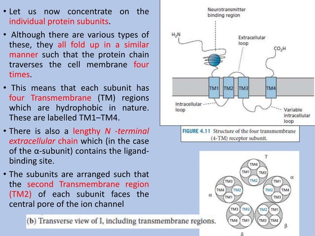 Receptor as drug targets | PPTX