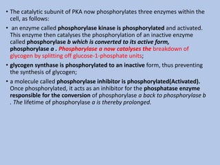 Receptor as drug targets | PPTX