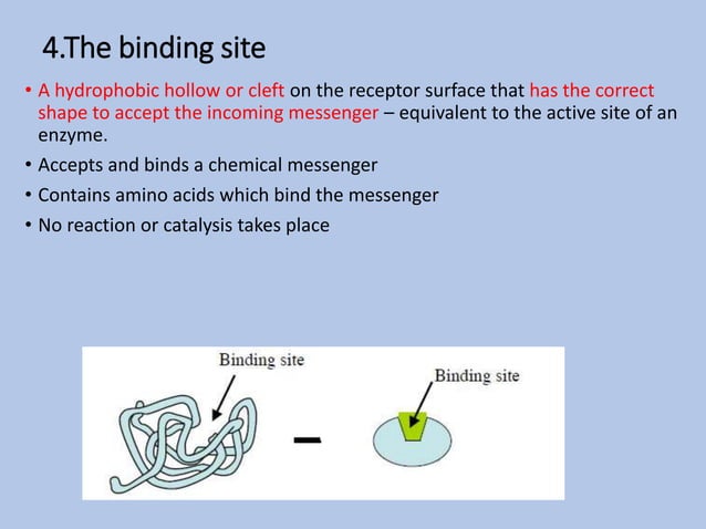 Receptor as drug targets | PPTX