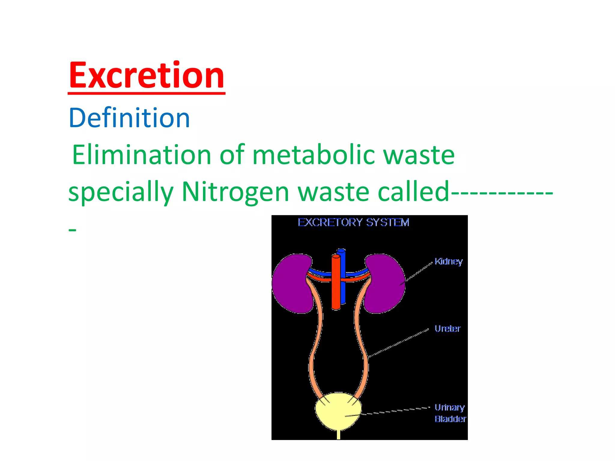 5.excretion introduction | PPTX | Chemistry | Science