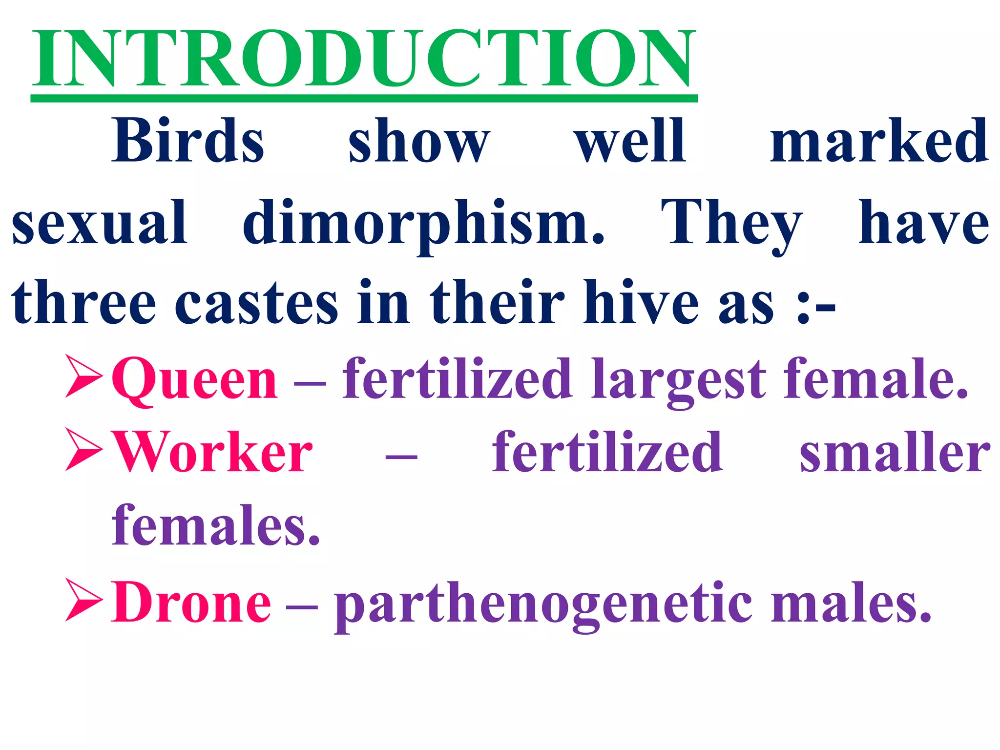Sex Determination In Honey Bees Pdf 7342