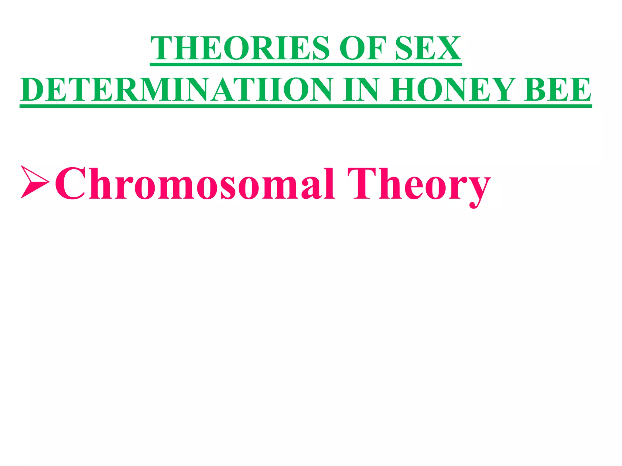 Sex Determination In Honey Bees Pdf 9341