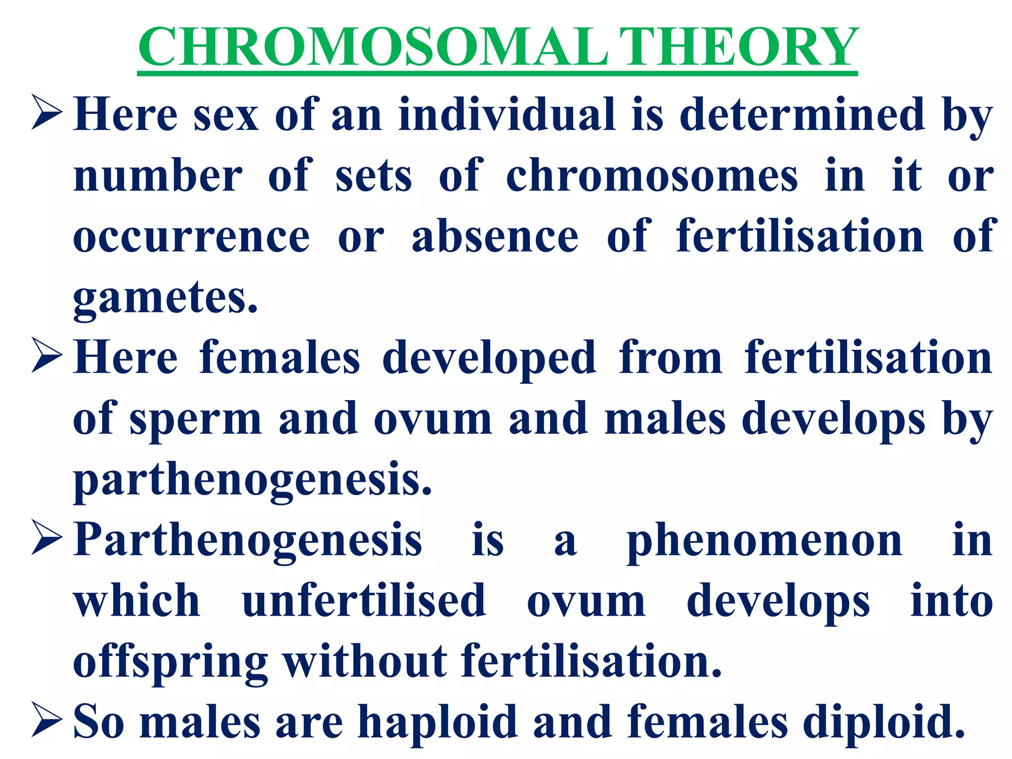 Sex Determination in Honey Bees | PDF