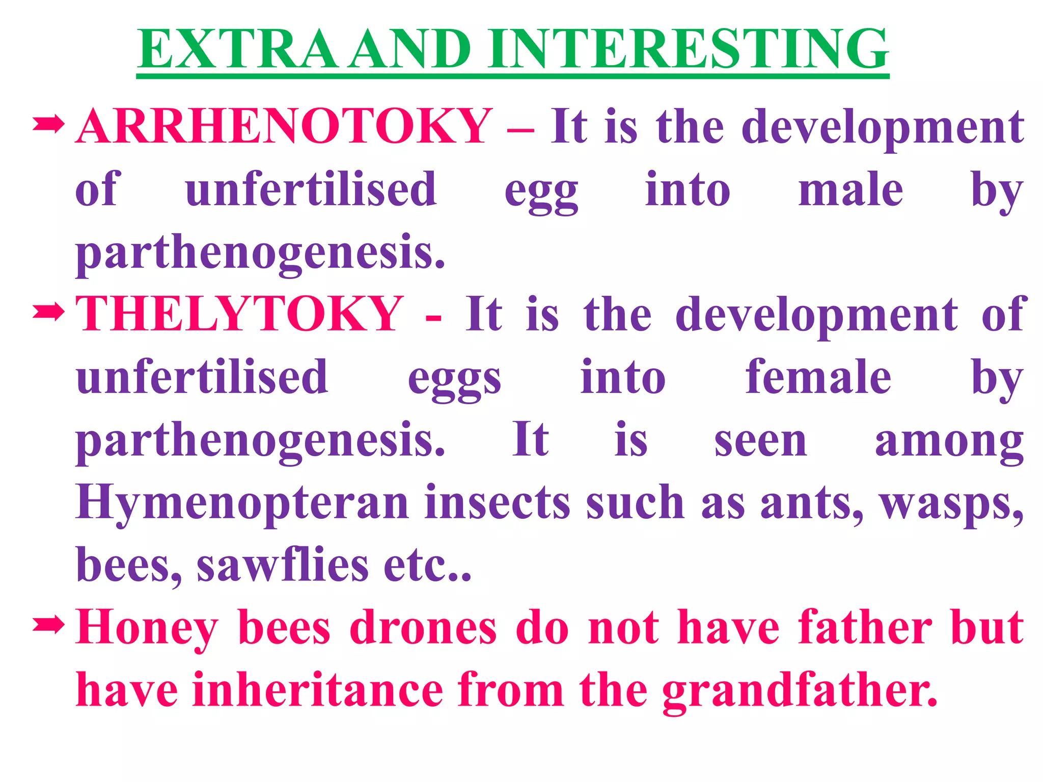 Sex Determination in Honey Bees | PDF