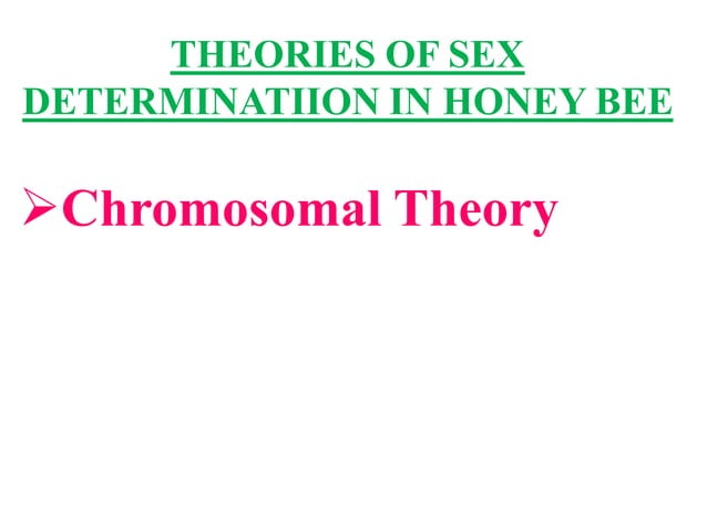 Sex Determination in Honey Bees | PDF