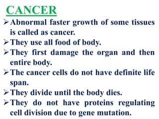 Cancer | PDF