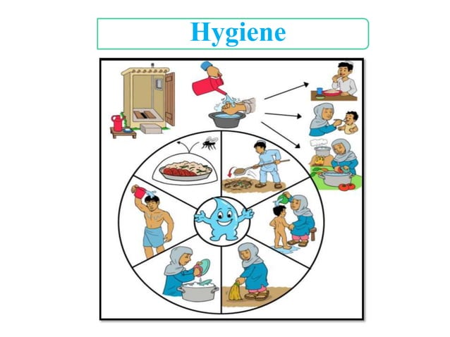 Health promotion & Health maintenance | PPTX | Nutrition | Healthy Living