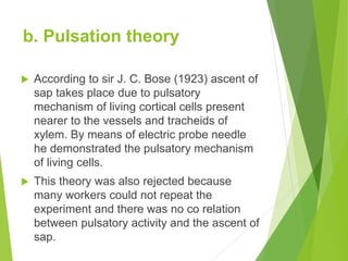 Transport of water | PPTX
