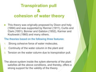 Transport of water | PPTX