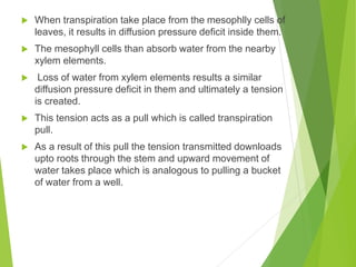 Transport of water | PPTX