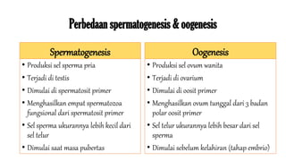 Oogenesis | PDF