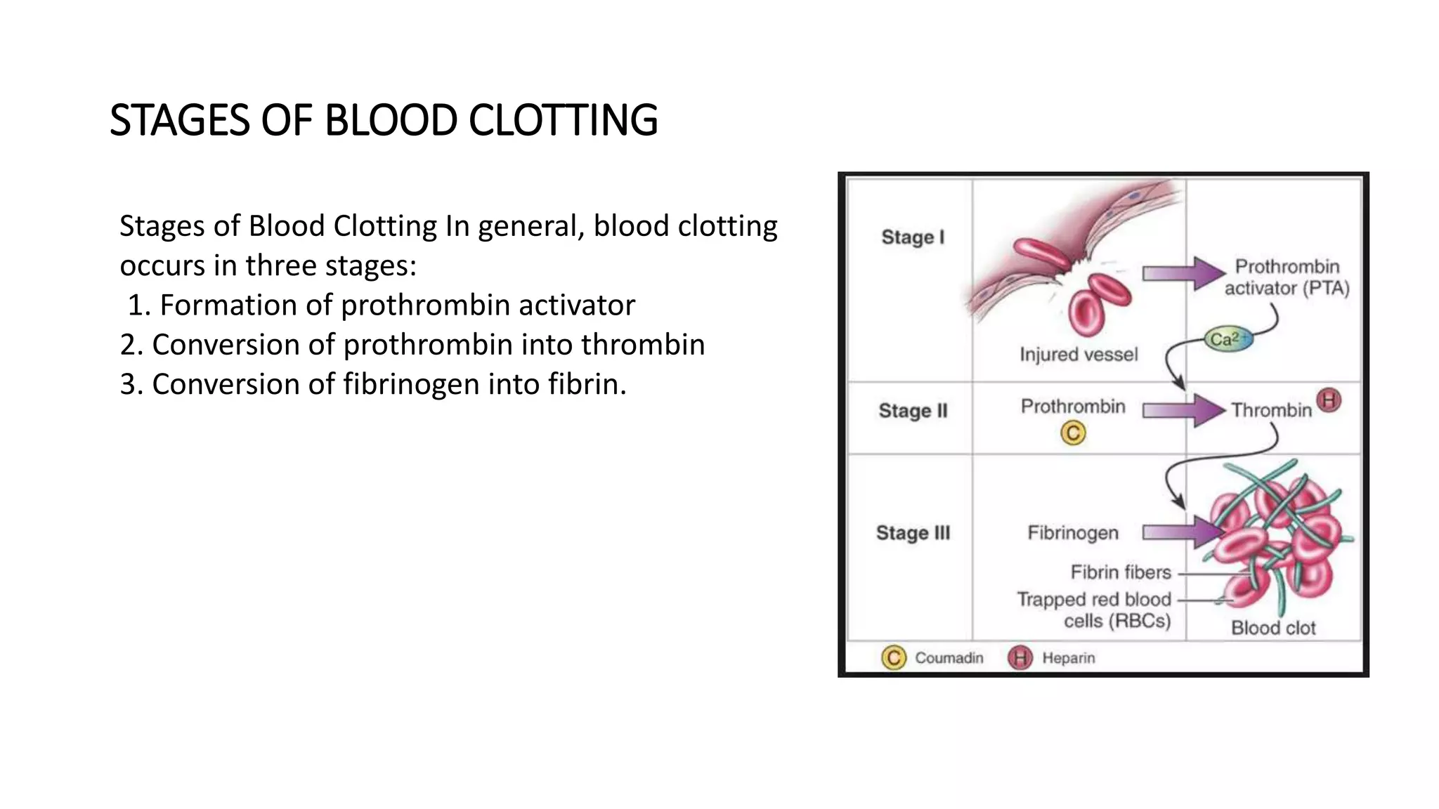 Coagulation of blood and bleeding disorders | PPTX