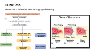 Coagulation of blood and bleeding disorders | PPTX