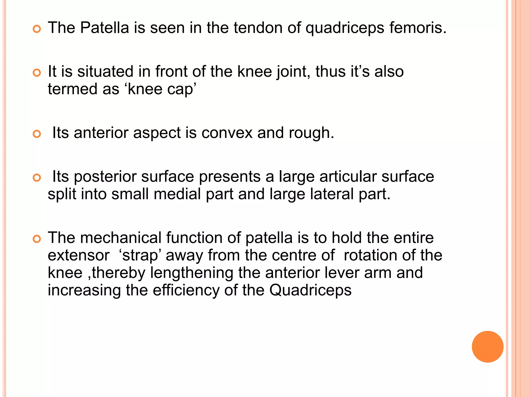 Patella | PPTX