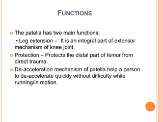 Patella | PPTX