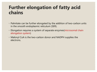 De Novo Synthesis of Fatty Acids | PPTX