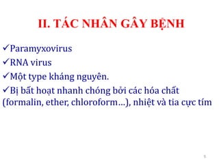 Bệnh quai bị - 2019 - Đại học Y dược TPHCM | PDF