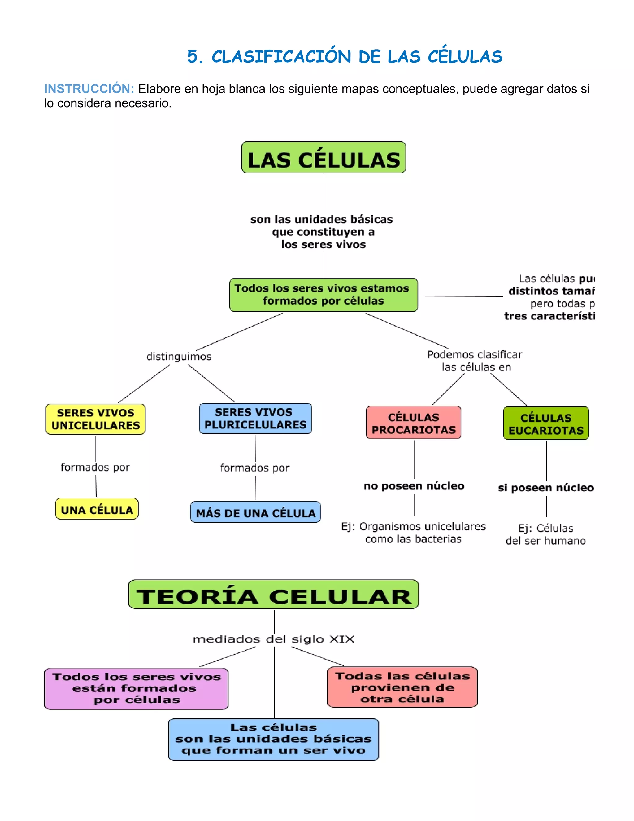 5. CLASIFICACIÓN DE LAS CÉLULAS | PDF