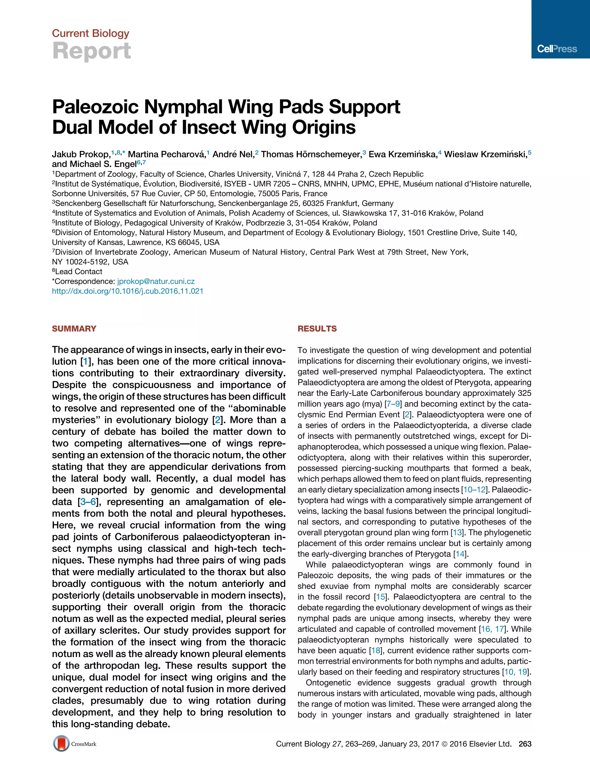 5. paleozoic nymphal wing (1) | PDF