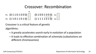 Introduction to Genetic Algorithms | PPTX