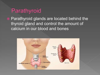 Hyperparathyroidism | PPTX