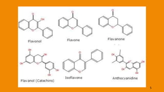 5. Flavonoid | PPTX