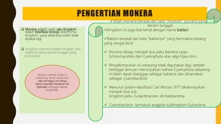 kingdom monera (bakteri & cyanobacteria) | PPTX