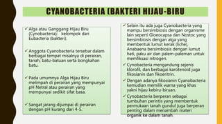 kingdom monera (bakteri & cyanobacteria) | PPTX