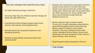 kingdom monera (bakteri & cyanobacteria) | PPTX