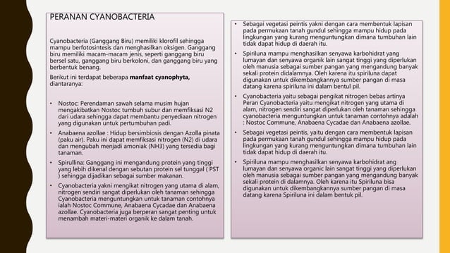 kingdom monera (bakteri & cyanobacteria) | PPTX