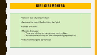 kingdom monera (bakteri & cyanobacteria) | PPTX