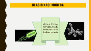 kingdom monera (bakteri & cyanobacteria) | PPTX