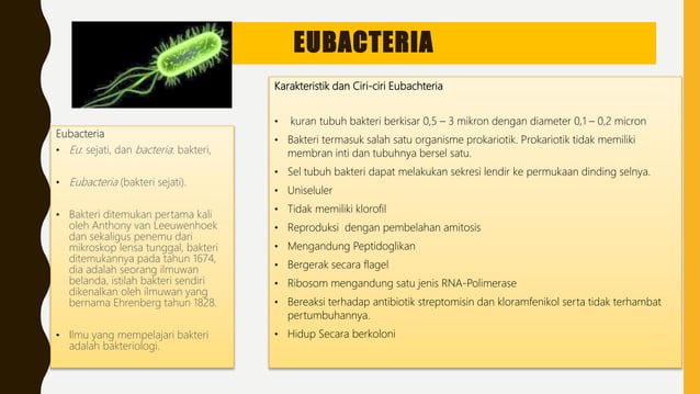 kingdom monera (bakteri & cyanobacteria) | PPTX