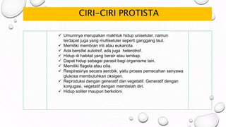 5. protista | PPTX