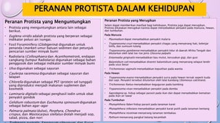5. protista | PPTX